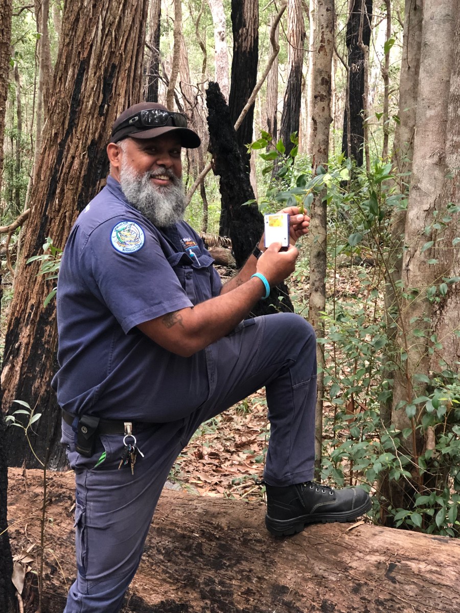 Butchulla Land and Sea Ranger Training – Part 2 « FINIA