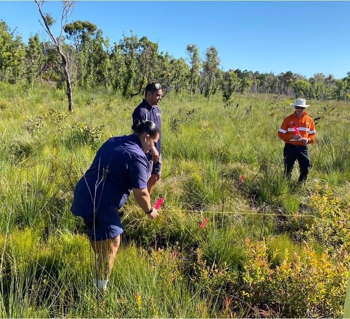 Myrtle Rust Update « FINIA