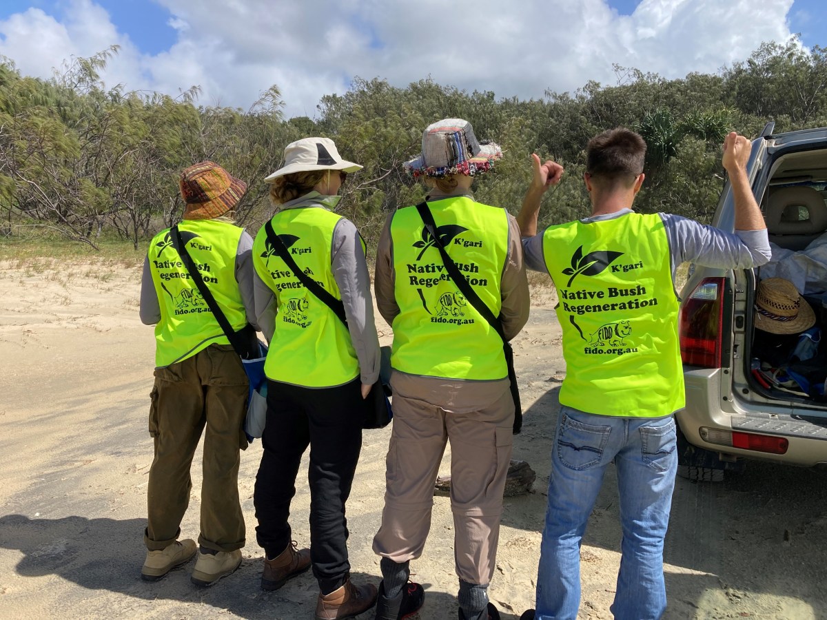 Post-fire Recovery Action Plan: Foredune Rehabilitation « FINIA