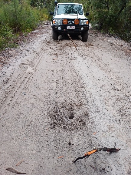 Freshwater Turtle Nest Relocation « FINIA