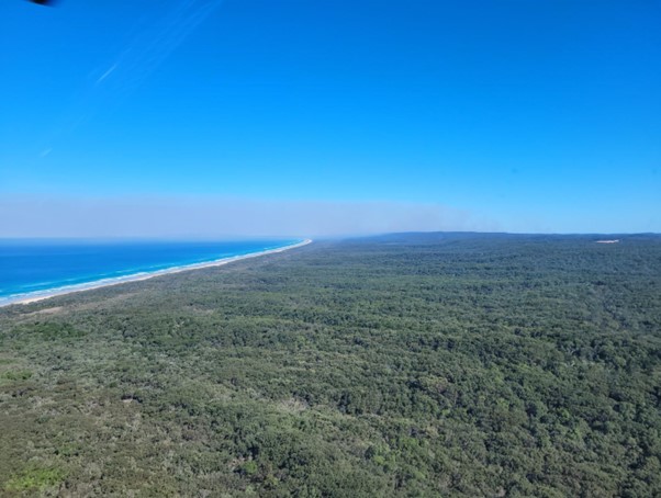 Effective fire management is a complex beast « FINIA